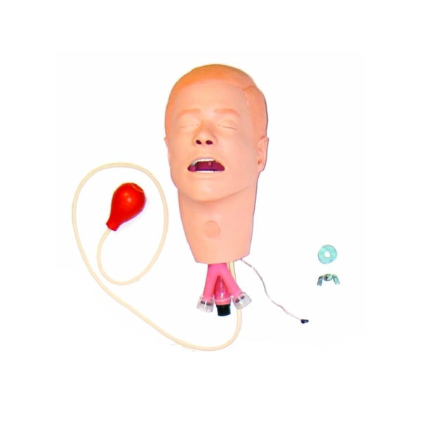 Heartsmart Adult Male Virtual Simulation Standard Tracheostomy - Head